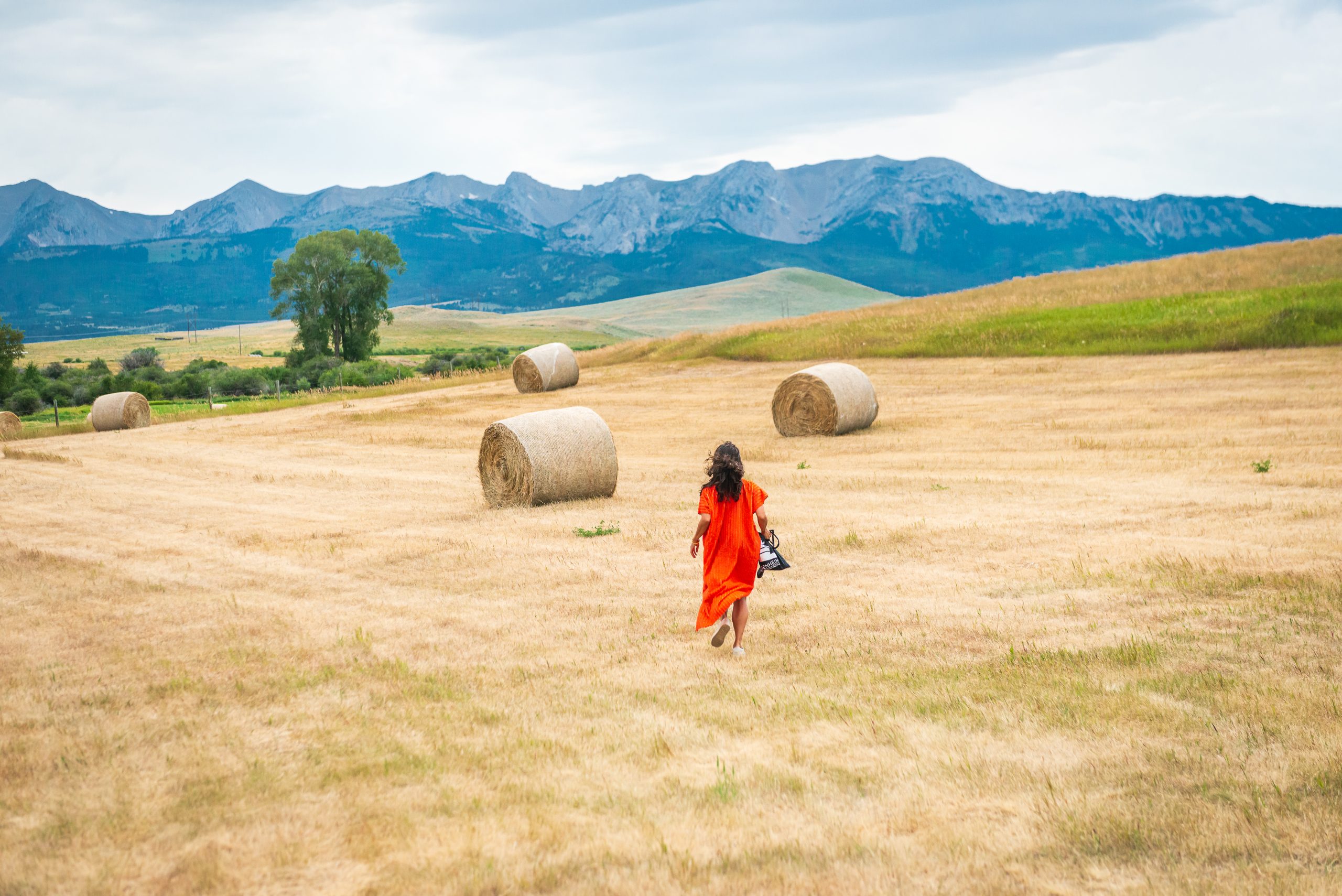 Which one do you want to be? - Michelle Boulé